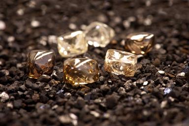 Rio Tinto unveils their inaugural Bunder diamond jewellery collection ...