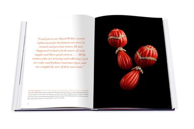 A new title by luxury book publisher Assouline explores the life and ...