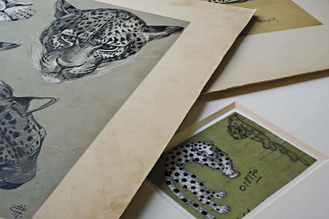 Archival drawings of Cartier's Panthère de Cartier